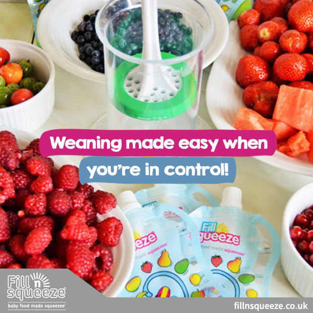 Homemade Reusable Food pouches for Babies – Fill n Squeeze